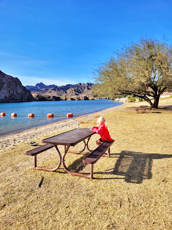 buckskin mountain state park 8