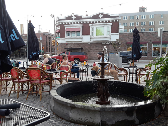 caf&eacute; hollander 8