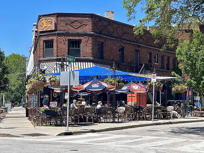caf&eacute; hollander downer 1