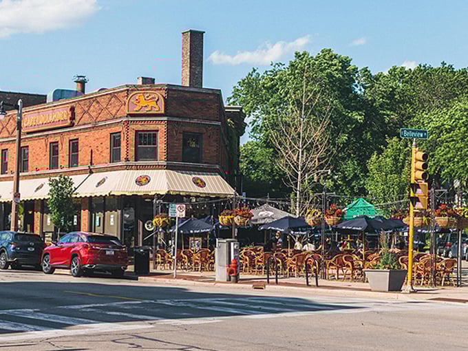 café hollander downer 6