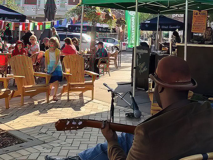 café hollander downer 7