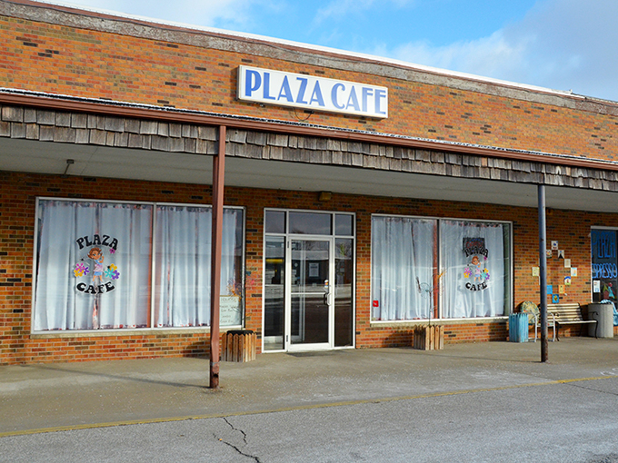 carlinville plaza cafe 1