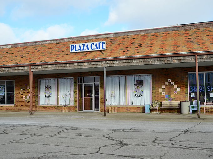 carlinville plaza cafe 2