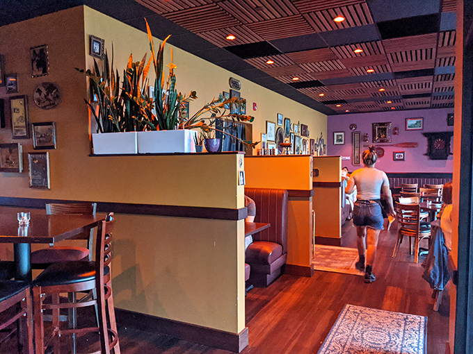 chip&rsquo;s clubhouse 2