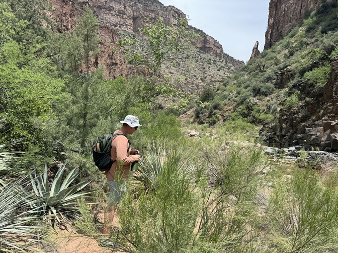 cibecue falls via cibecue creek trail 2