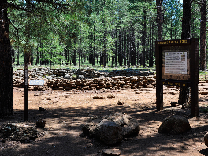 coconino lava river cave 2
