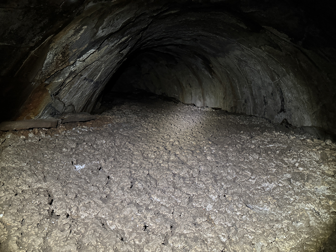 coconino lava river cave 4