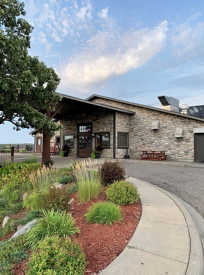 coyote moon grille 1