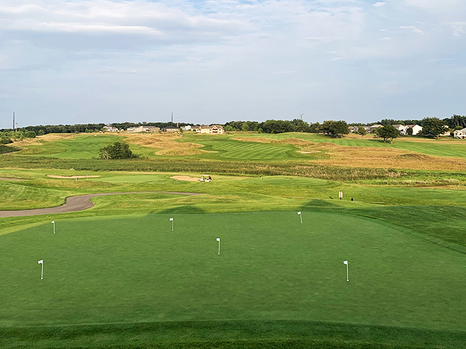 coyote moon grille 6