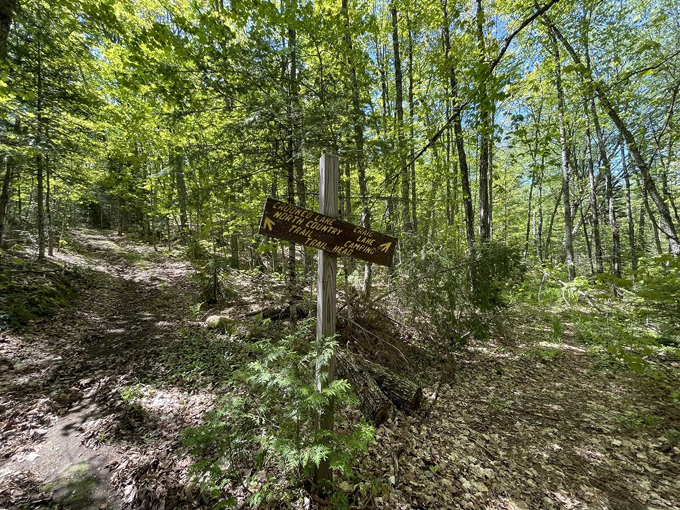craig lake state park 3