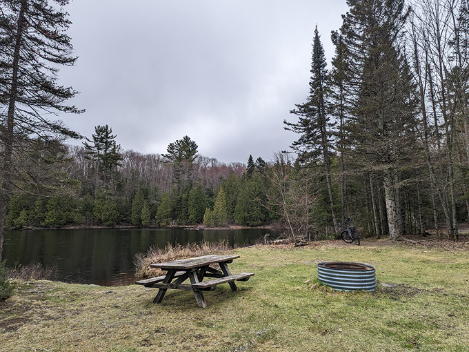 craig lake state park 8