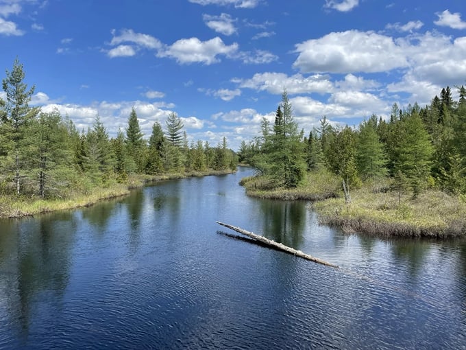 craig lake state park 9