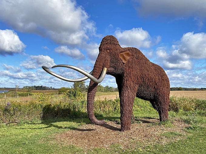 curly the ice mammoth at horicon marsh state wildlife area 1