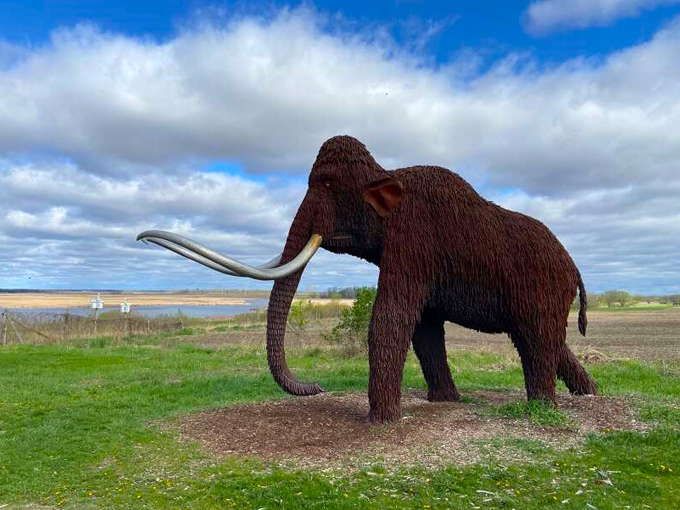 curly the ice mammoth at horicon marsh state wildlife area 7