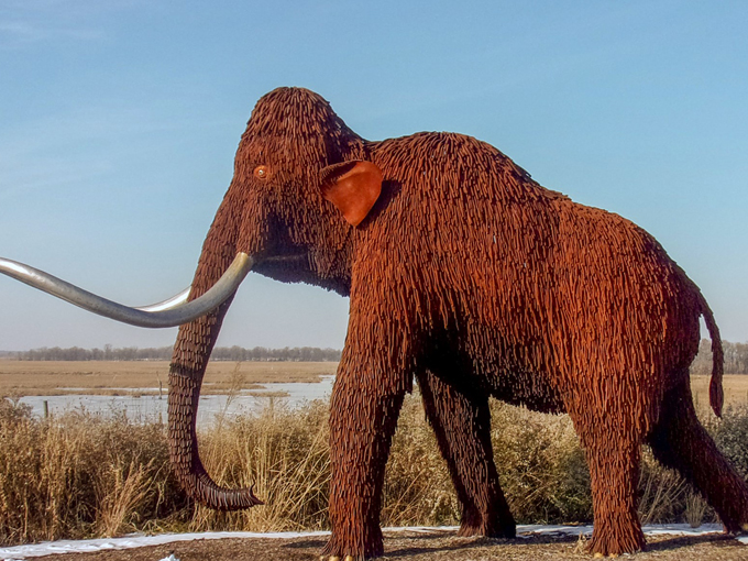 curly the ice mammoth at horicon marsh state wildlife area 8
