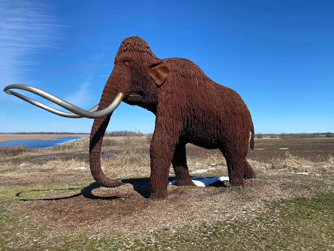 curly the ice mammoth at horicon marsh state wildlife area 9