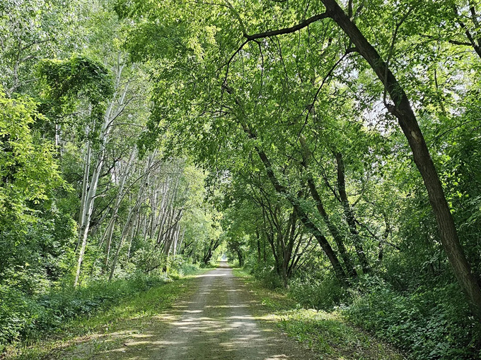 de pere, wisconsin 6