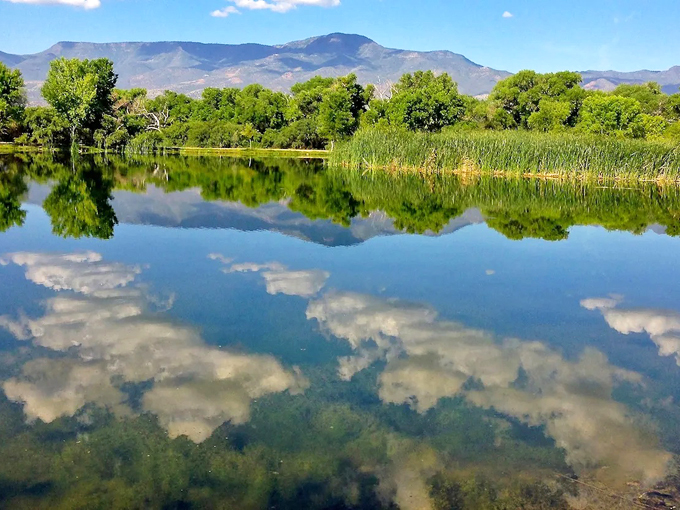 dead horse ranch state park 1