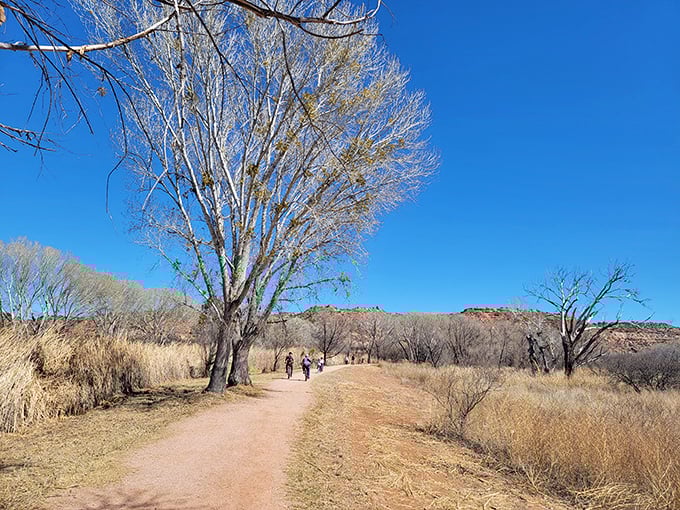 dead horse ranch state park 4