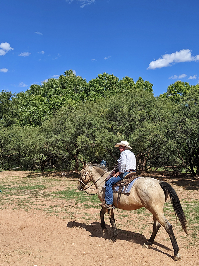 dead horse ranch state park 8