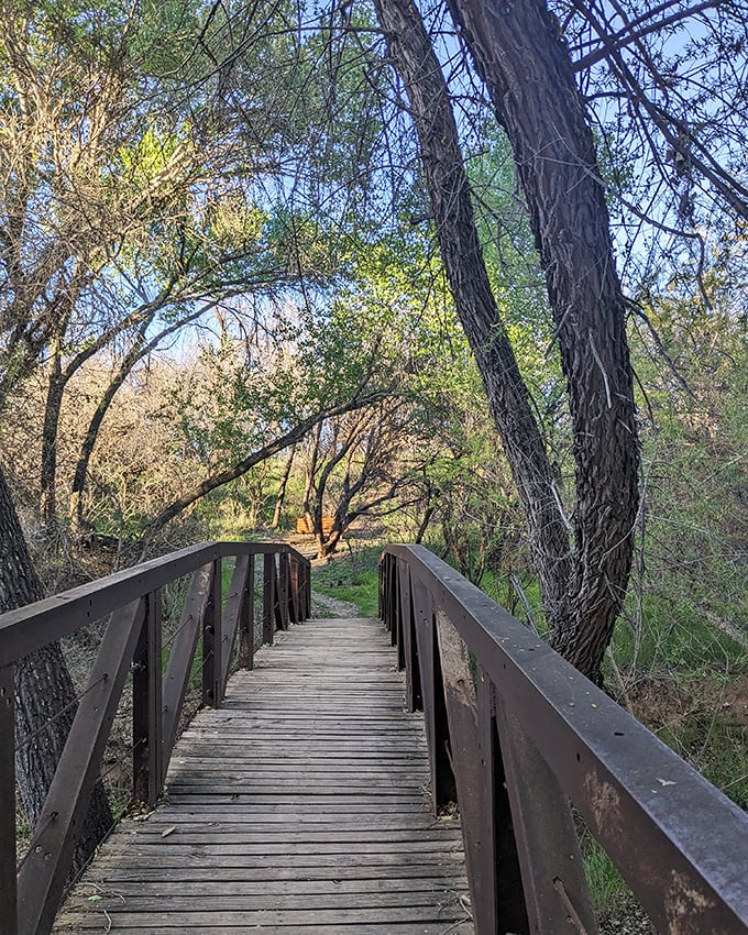 dead horse ranch state park 9
