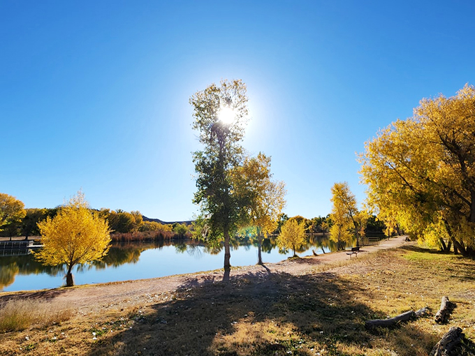 dead horse ranch state park 9