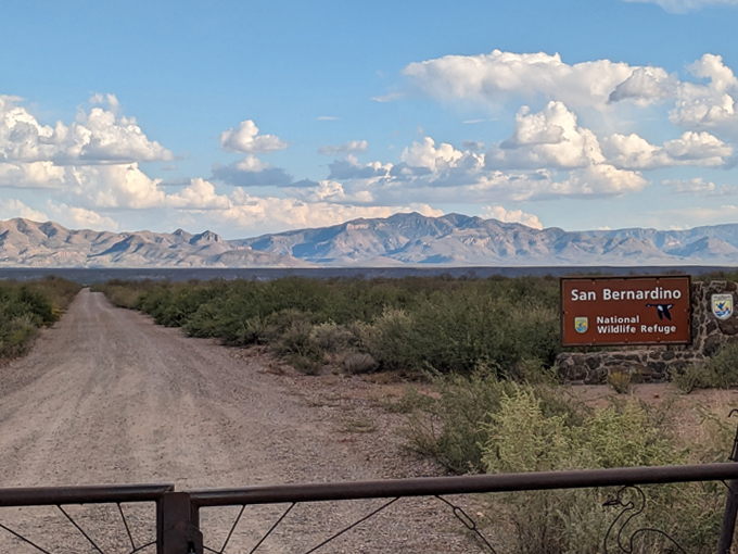 douglas, az 5