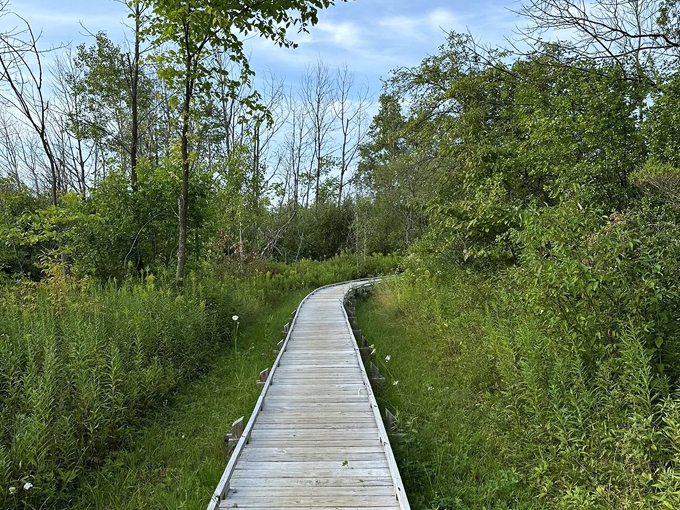 elkhart lake, wisconsin 5