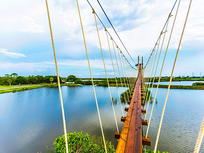 empower adventures tampa bay 4