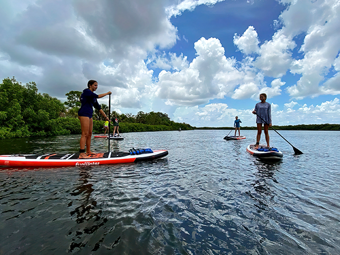empower adventures tampa bay 8