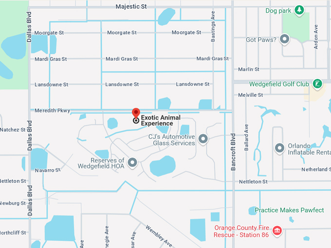 exotic animal experience 10 map