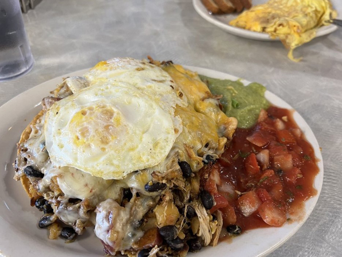 fat nat's eggs new hope 3