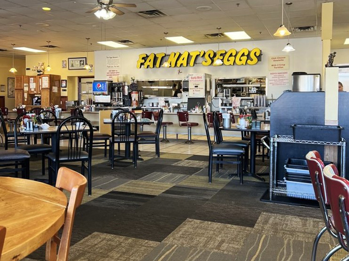 fat nat's eggs new hope 9