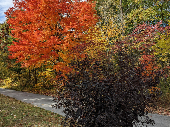 fort gratiot county park 5