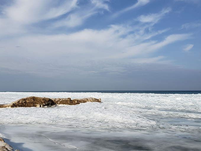 fort gratiot county park 6