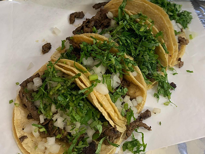 guanajuato mexican restaurant 3