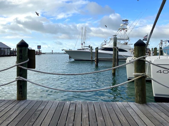 half shell raw bar 5