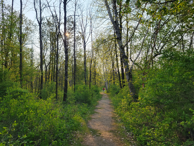 harrington beach state park 3