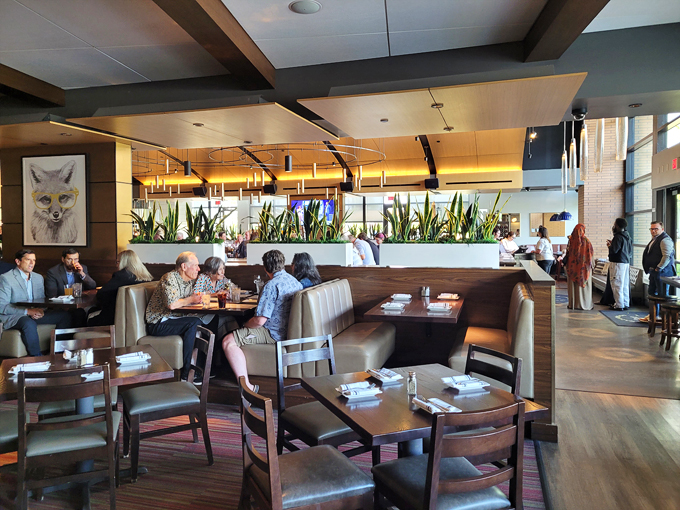 hazelwood food and drinks 2