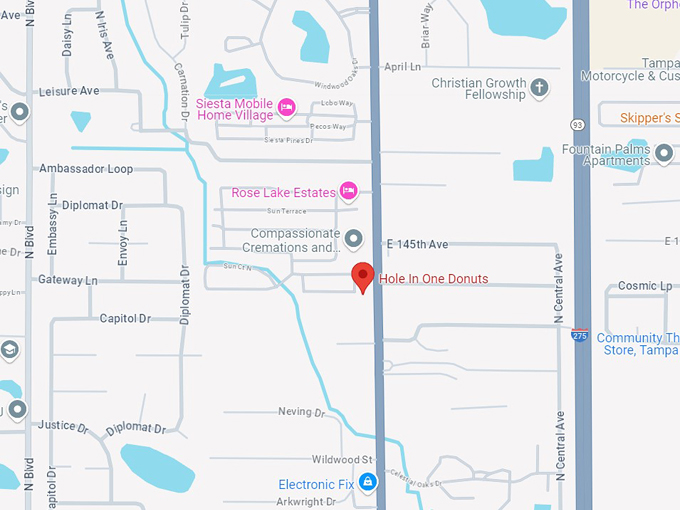 hole in one donuts 10 map