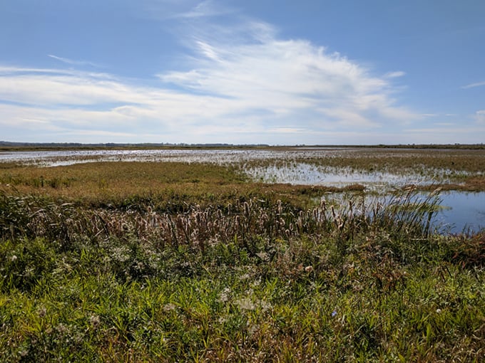 horicon marsh state wildlife area 3