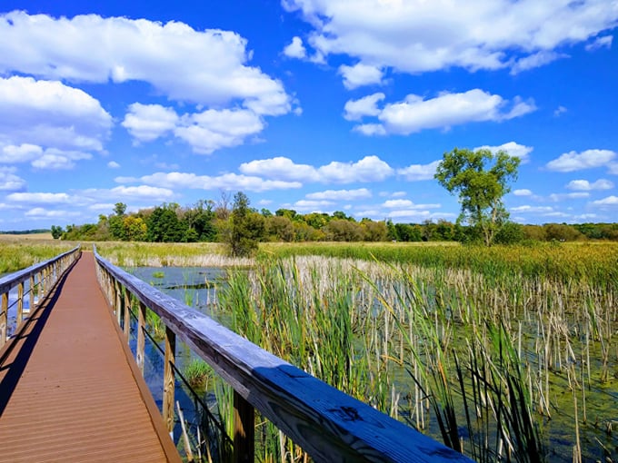 horicon marsh state wildlife area 4