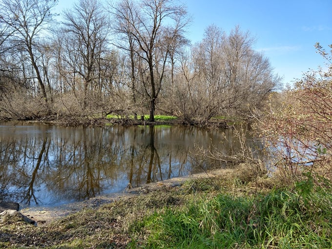 horicon marsh state wildlife area 5