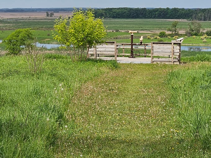 horicon marsh state wildlife area 6