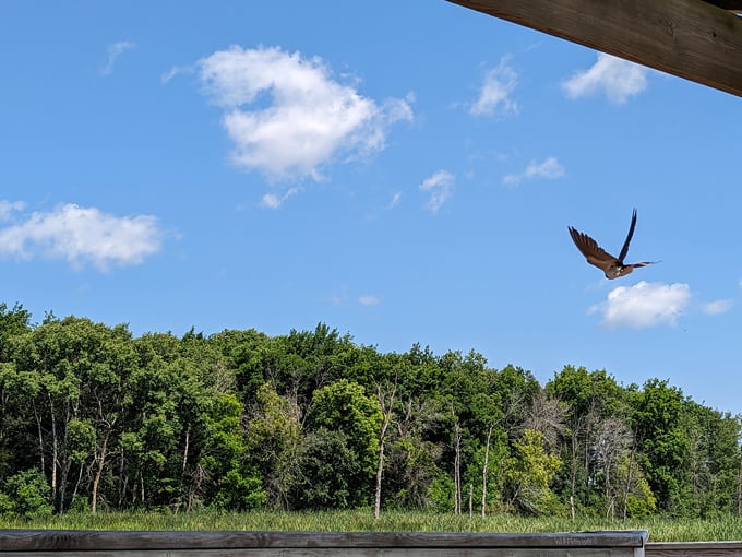 horicon marsh state wildlife area 9