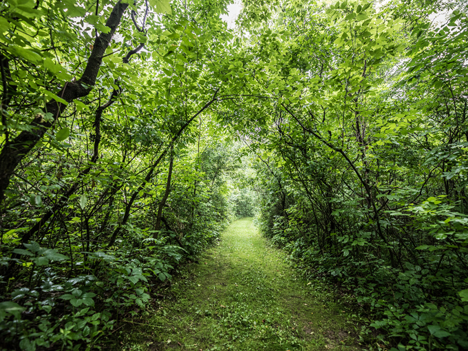 inn at wawanisee point 5