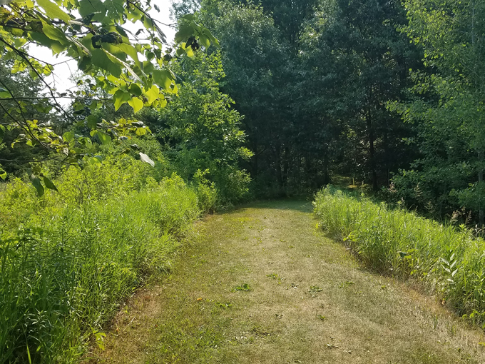 kinnickinnic state park 8