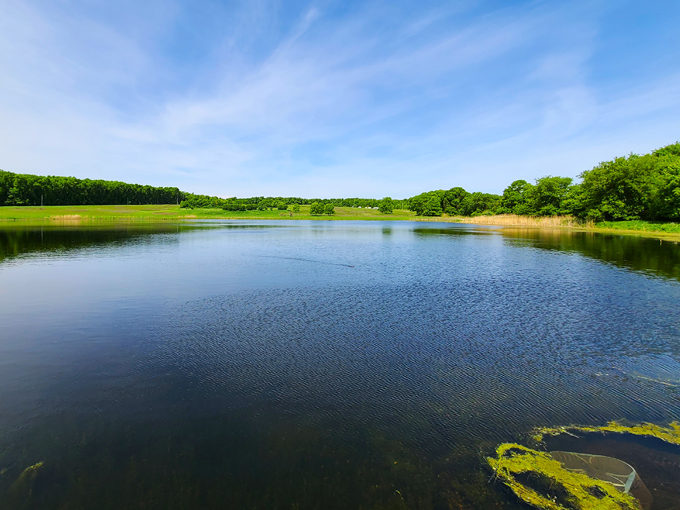 lake shetek state park 2