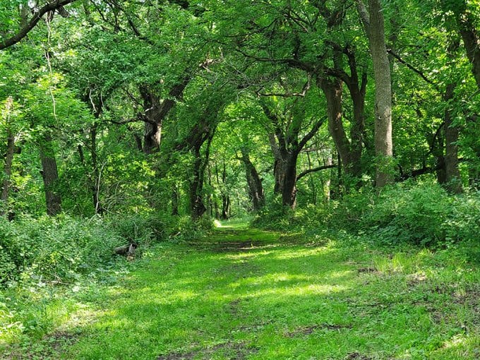 lake shetek state park 4