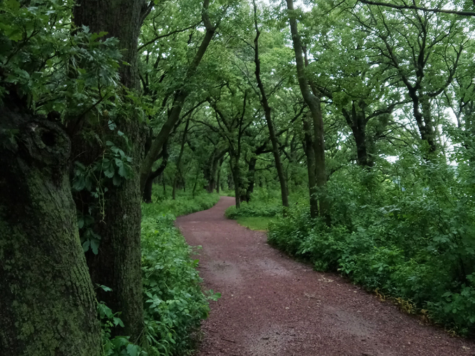 lake shetek state park 5